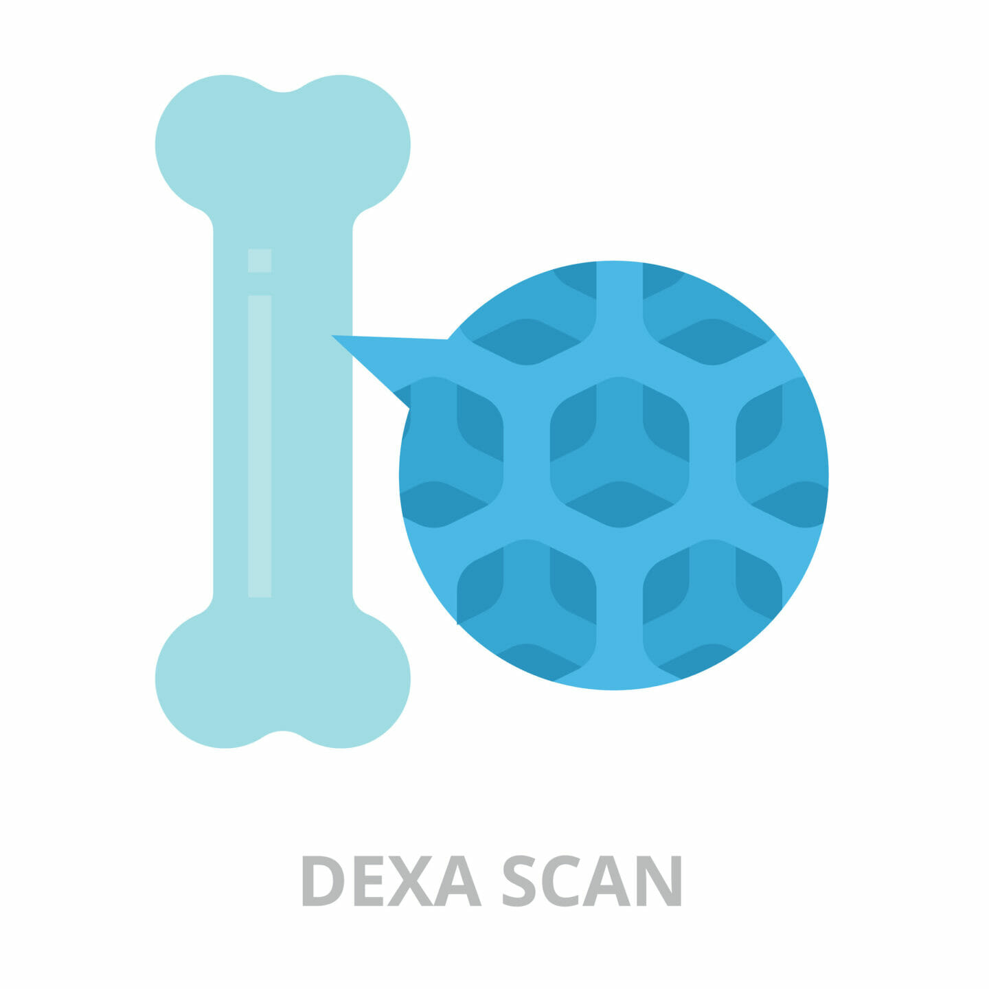 Why do DEXA - St Paul Rheumatology